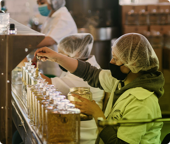 Products - Product Recall